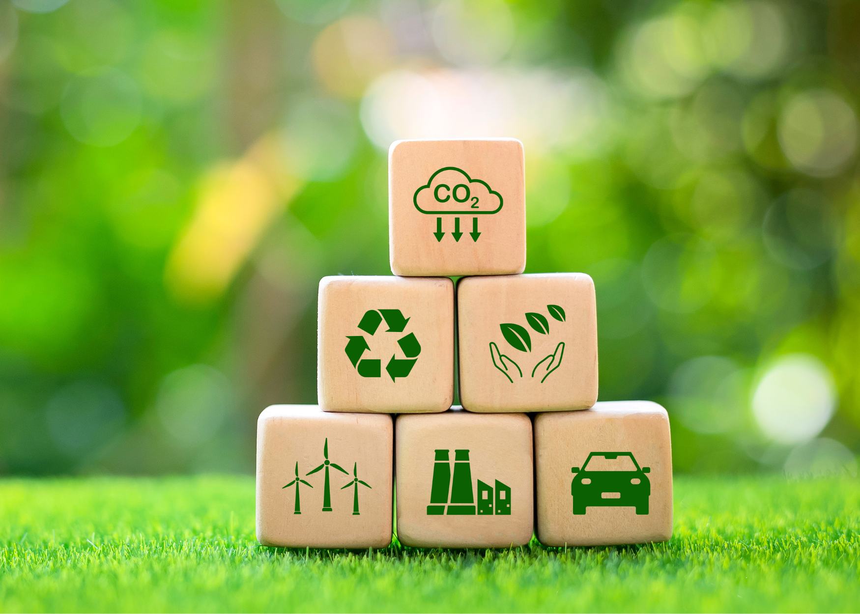 Accompagnement à la Transformation RSE - Primexis